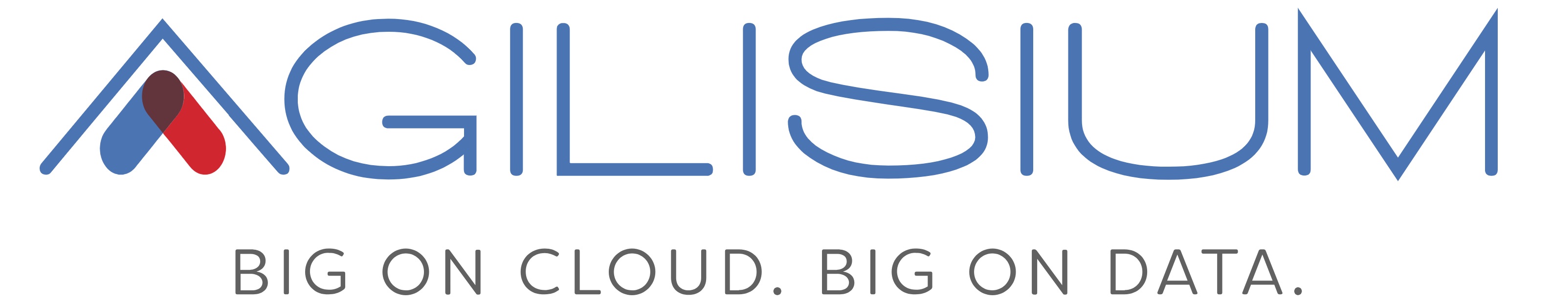 Meet Dataiku's Partners | Dataiku