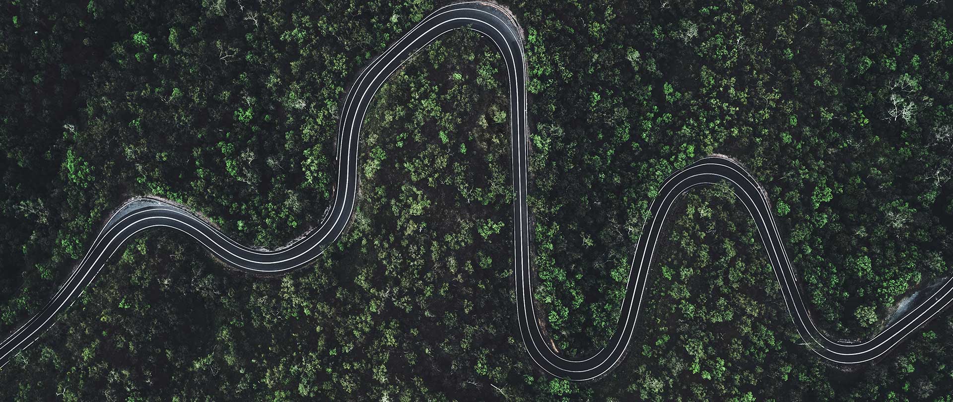 Plugin: Interactive decision tree builder | Dataiku