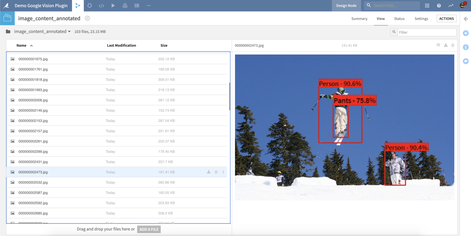 Plugin: Google Cloud Vision | Dataiku